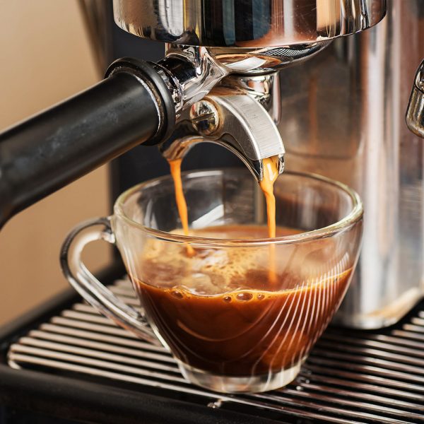 Sumo Coffee – Premium Coffee Beans